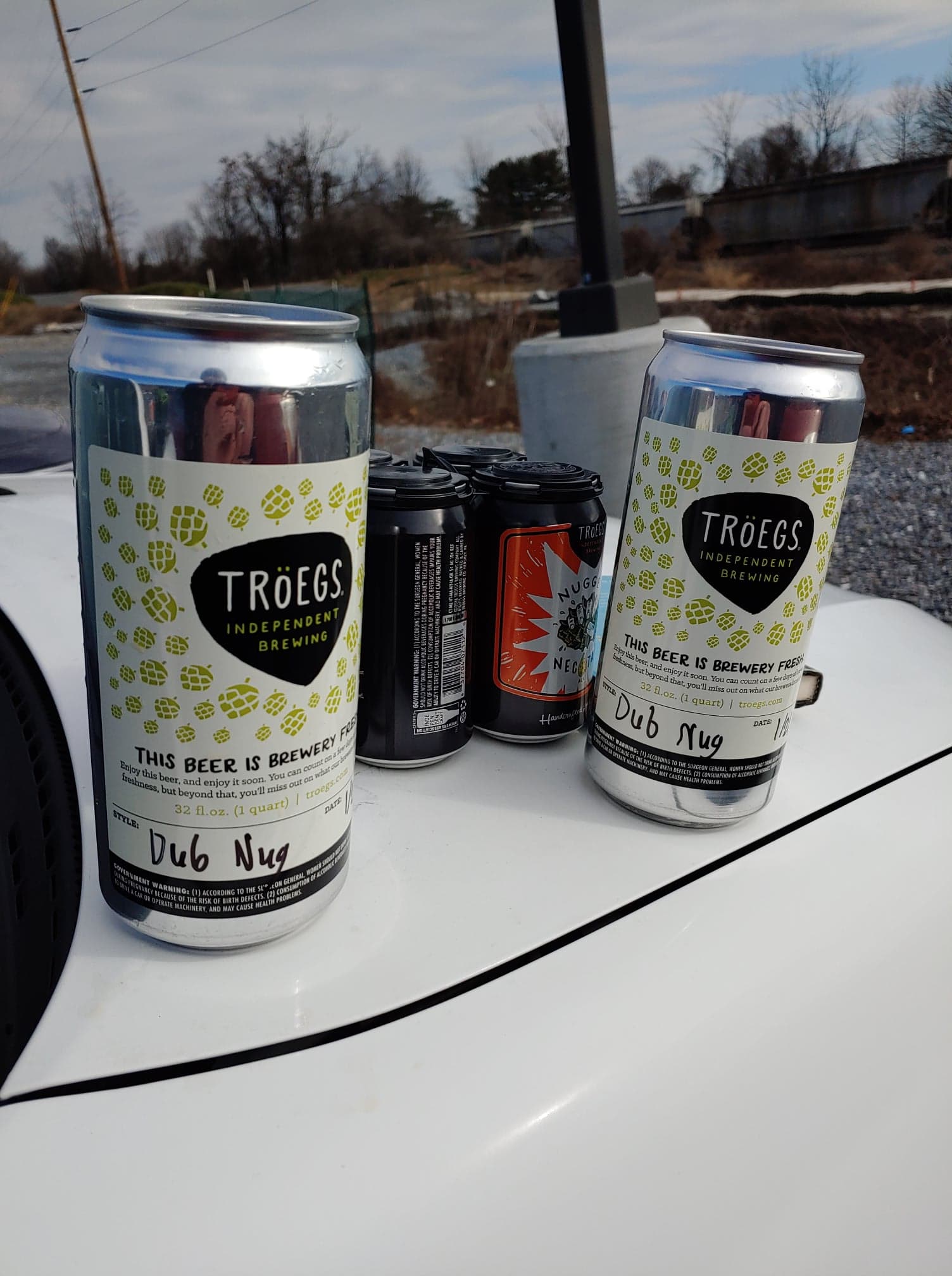 Beer Review: Double Nugget Nectar (Troegs Independent Craft Brewing ...