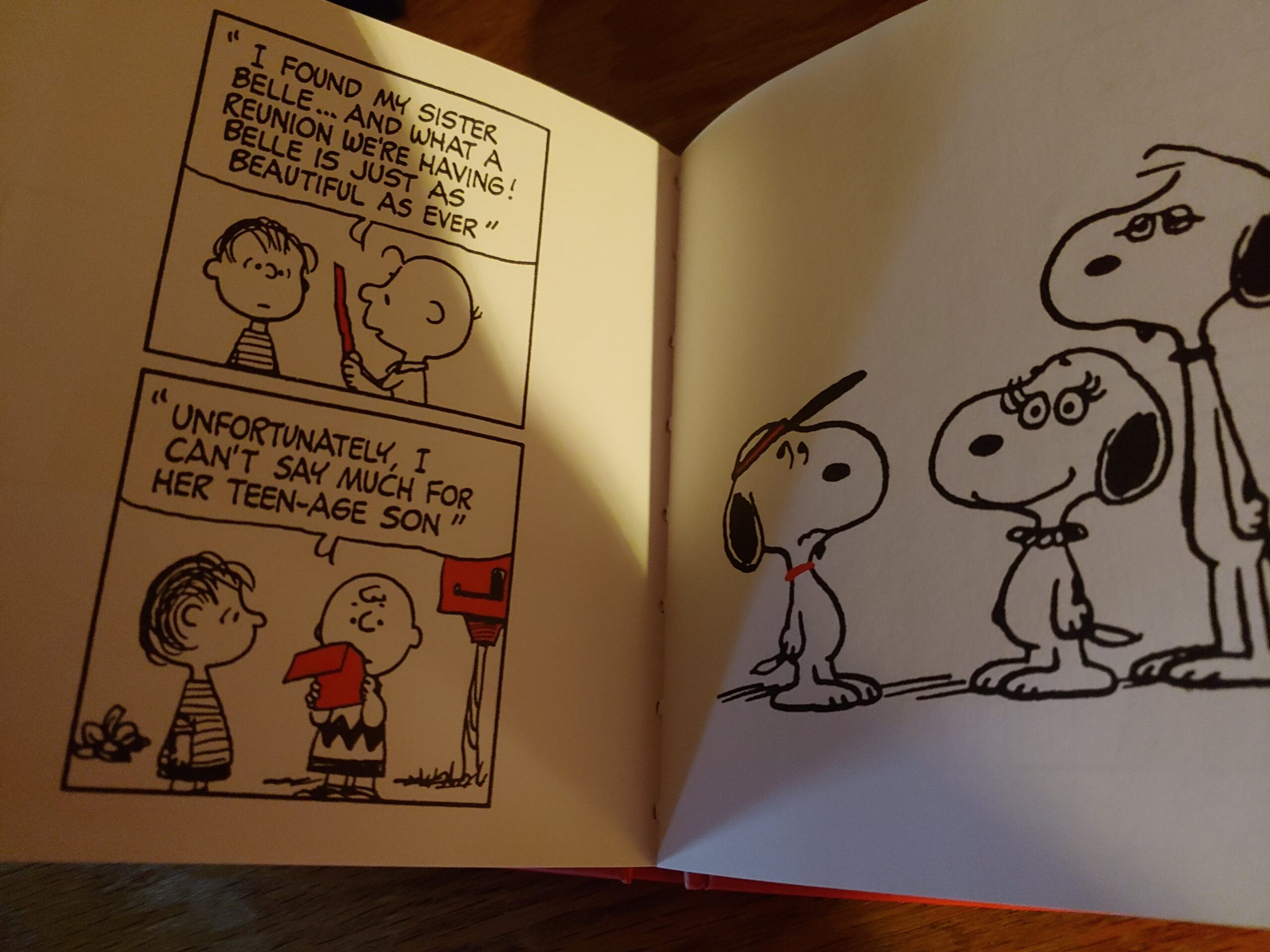 Book Review: The Philosophy of Snoopy (Charles M. Schulz) - The Beer ...